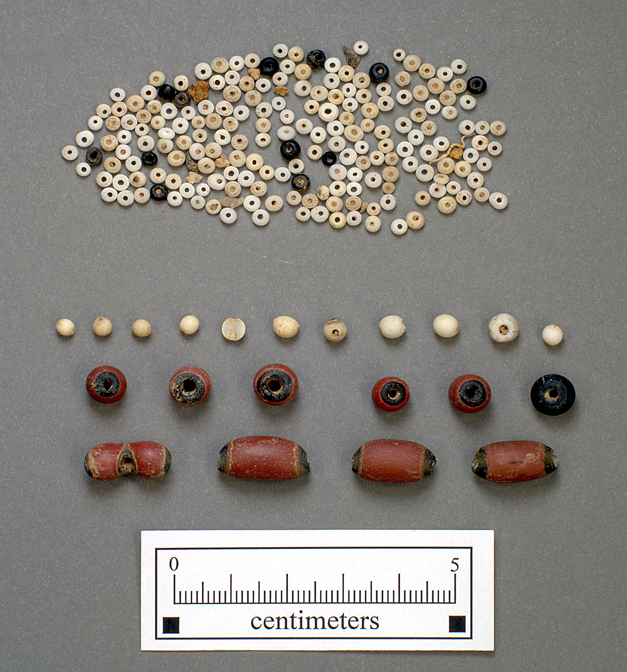 Common Artifact Types - Excavating Occaneechi Town