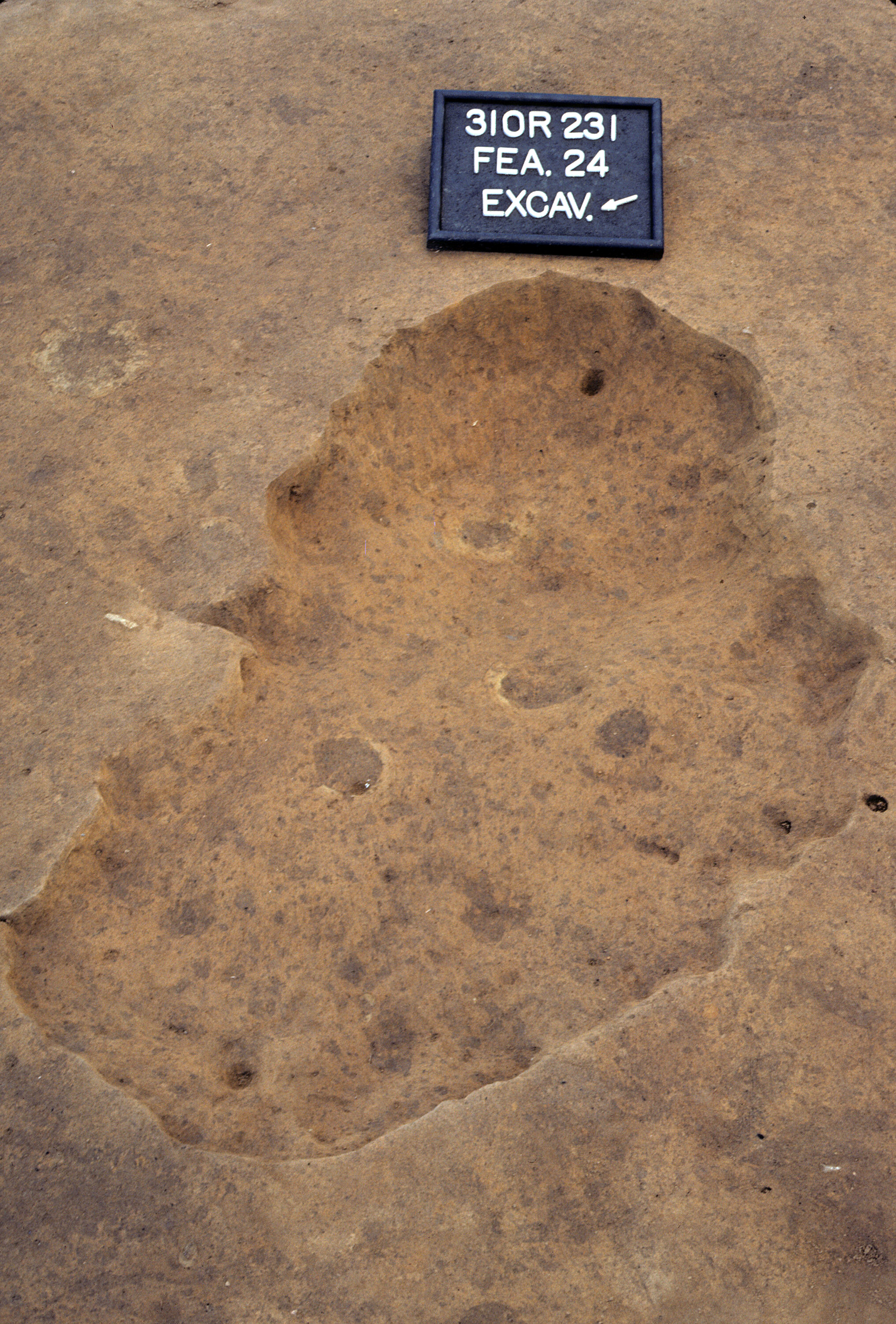 Common Feature Types - Excavating Occaneechi Town